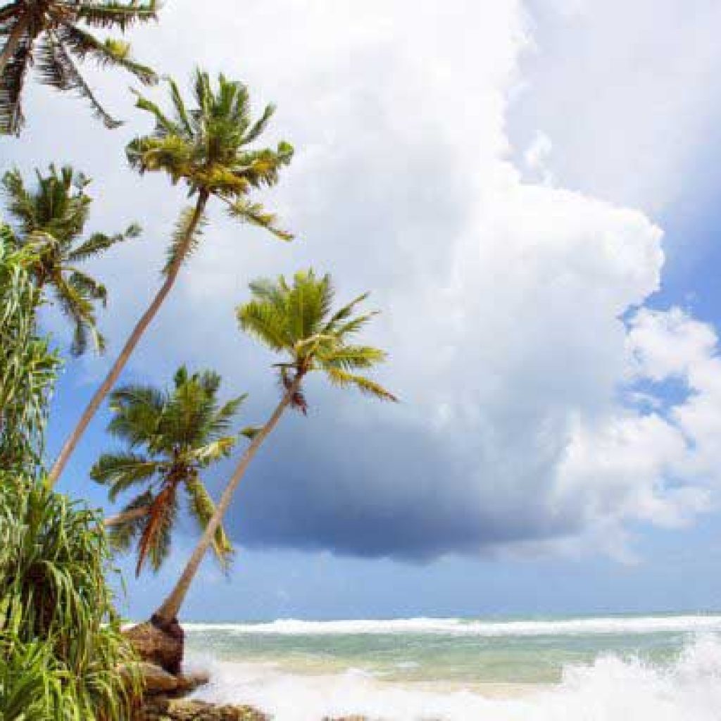 Best beaches in Sri Lanka | Golden Sands | Budget Tour Best Budget Sri ...