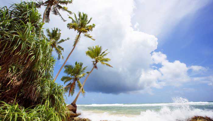 Best beaches in Sri Lanka | Golden Sands | Budget Tour Best Budget Sri ...